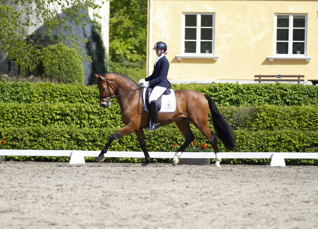 Tullstorp 1st and 2nd with the 4 year old at Flyinge - Tullstorp ...